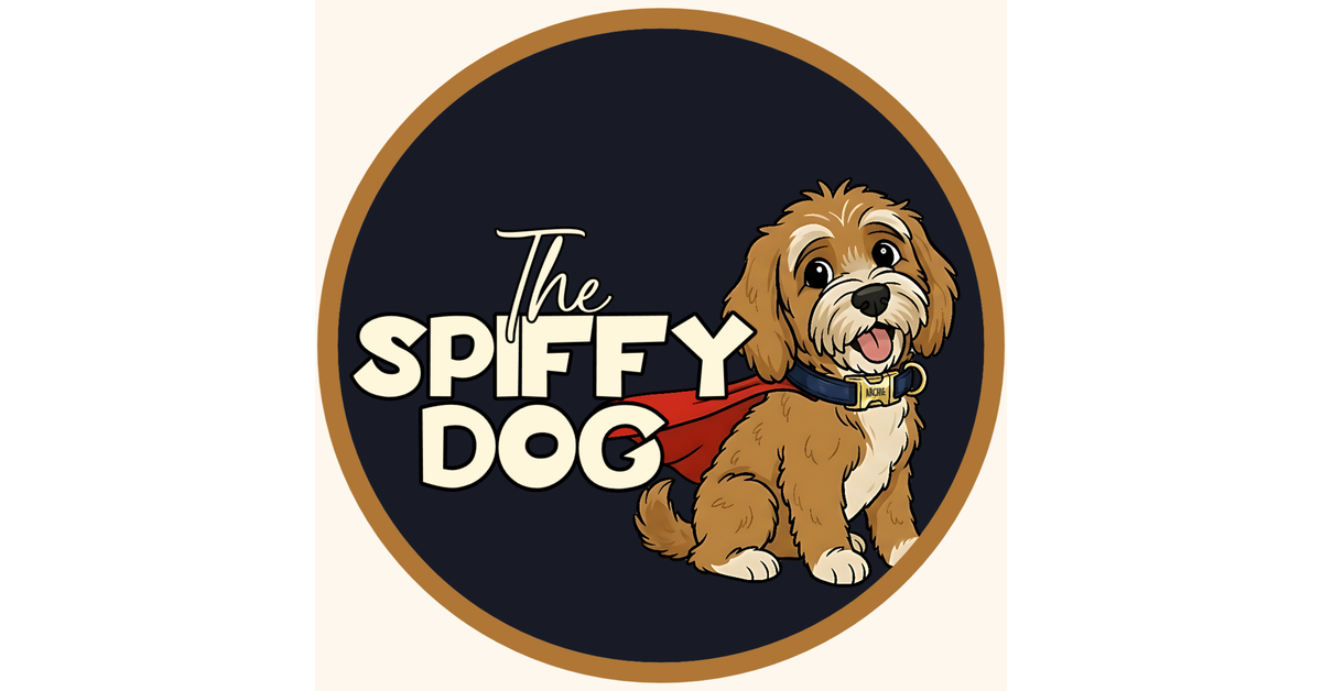 Personalized Collars For Dogs – The Spiffy Dog