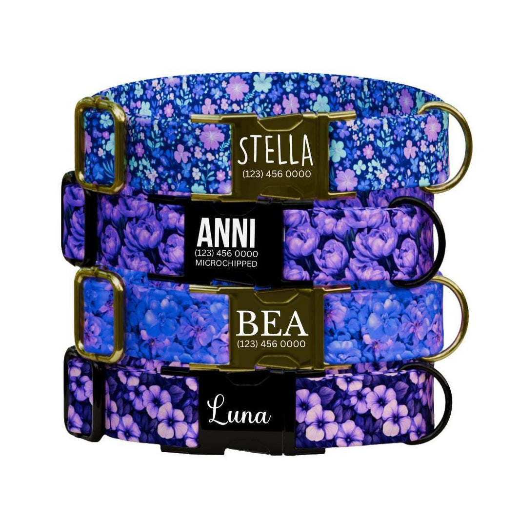 Personalized Collars For Dogs – The Spiffy Dog